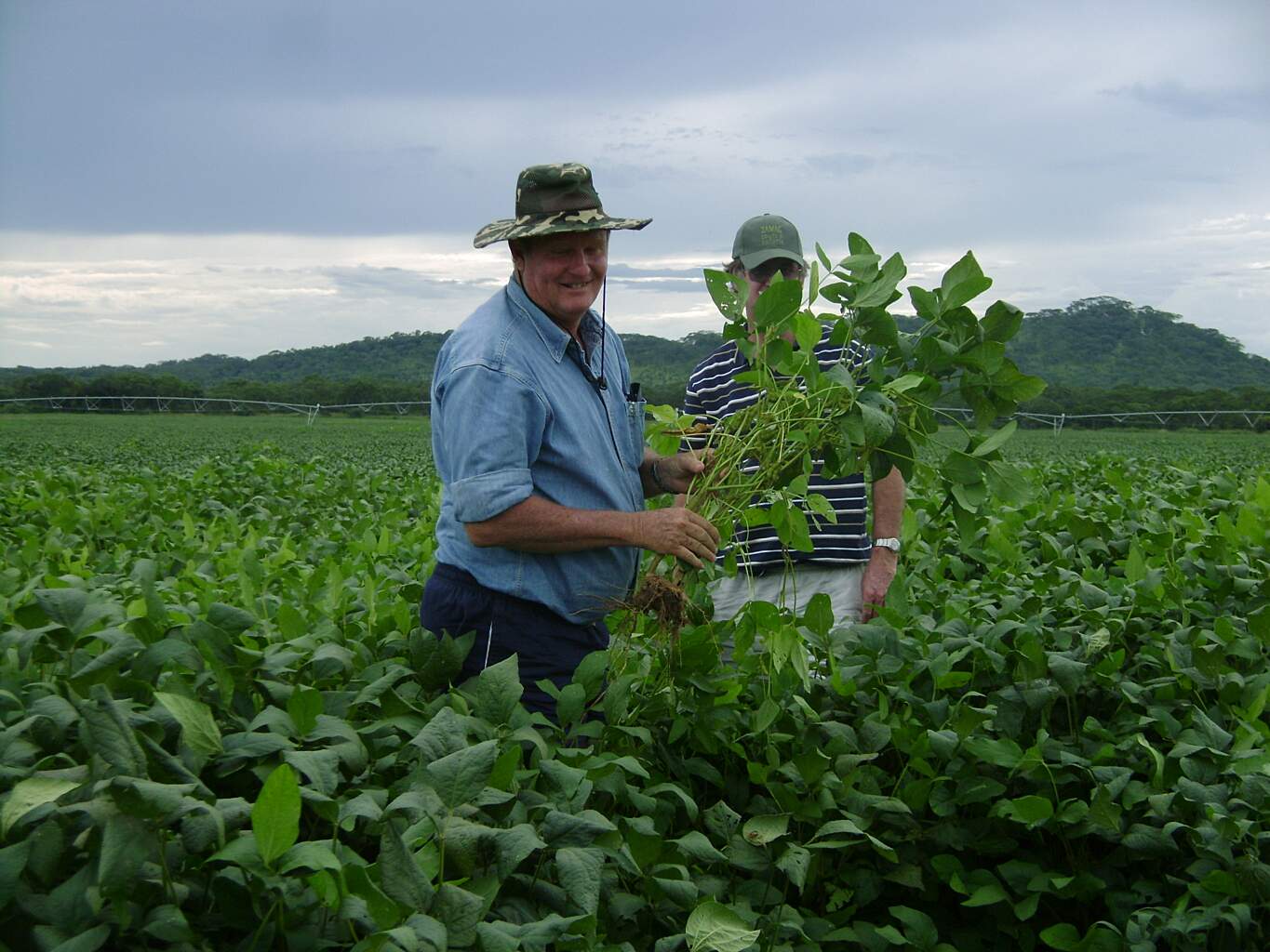Agricultural Tours in Zambia – ZAMAG Tours and Safaris – Agricultural ...